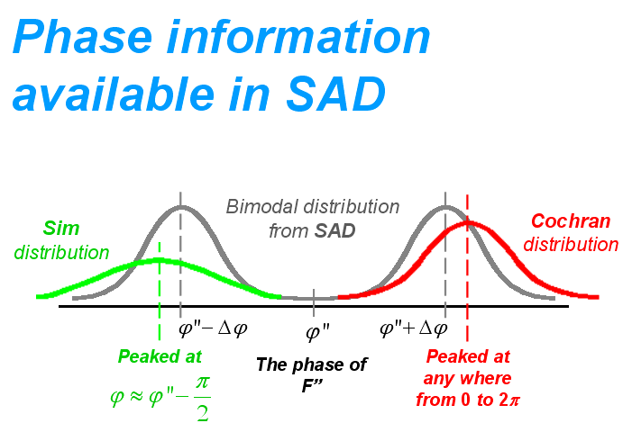 phase-info.gif